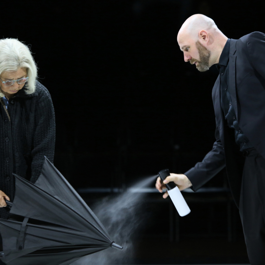 De eeuw van mijn moeder - Theater - Maze de Boer - Beeldend kunstenaar
